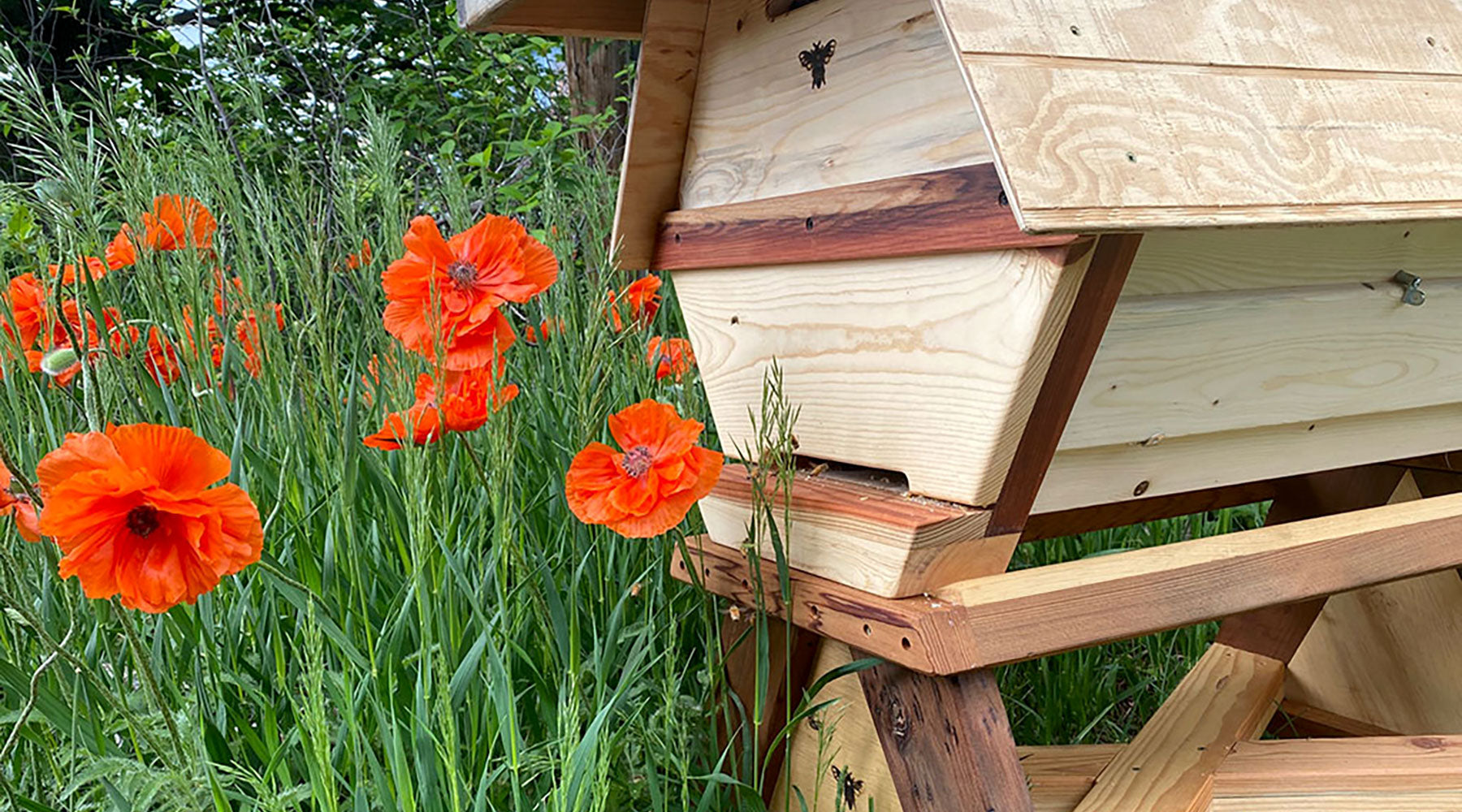 All Products - BackYardHive