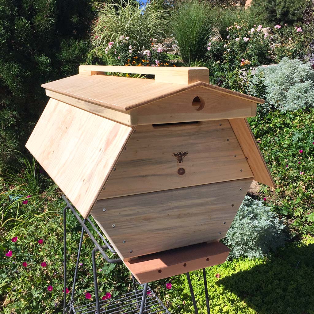 BackYardHive : Bee Hives and Beekeeeping Supplies For Sale