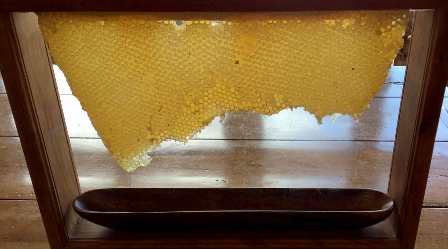 Glass Honeycomb Display - Golden Mean Hive or EU National 17-18" bars ...