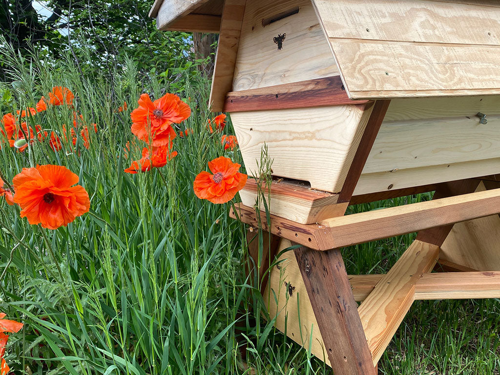 Cathedral Hive & Golden Mean Hive Stand - BackYardHive