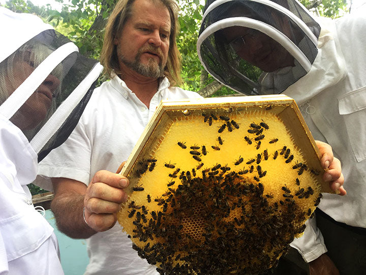 Cathedral Hive® Workshop - 2025 - BackYardHive