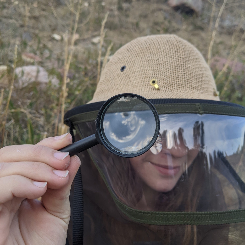 BeeGuardian® Veil - BackYardHive